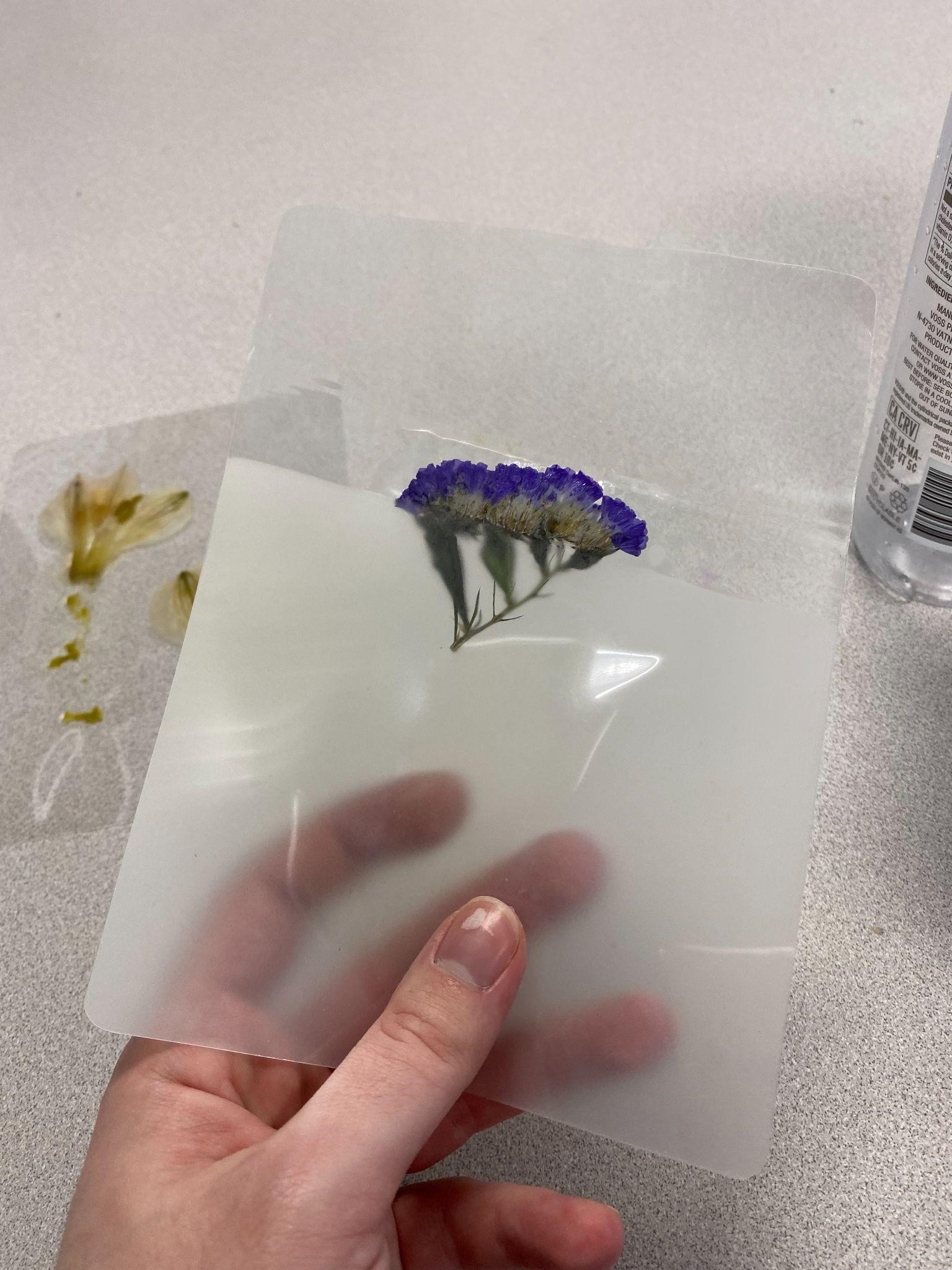How To Make Laminated Flower Art - Ignite Studio at HEPL