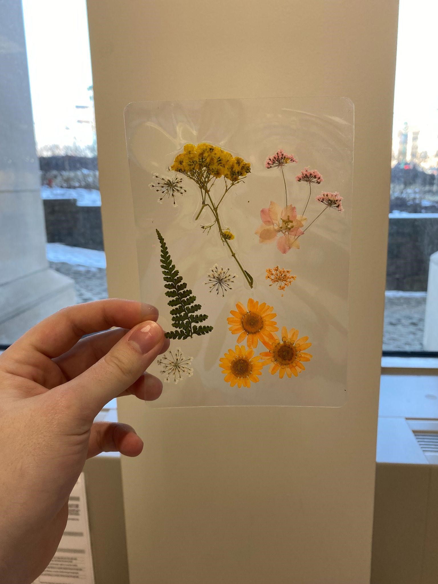 How To Make Laminated Flower Art - Ignite Studio at HEPL