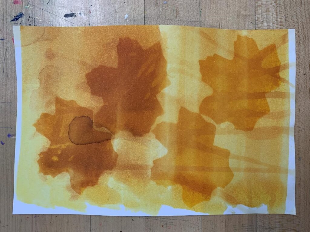 All About Anthotypes - Ignite Studio at HEPL