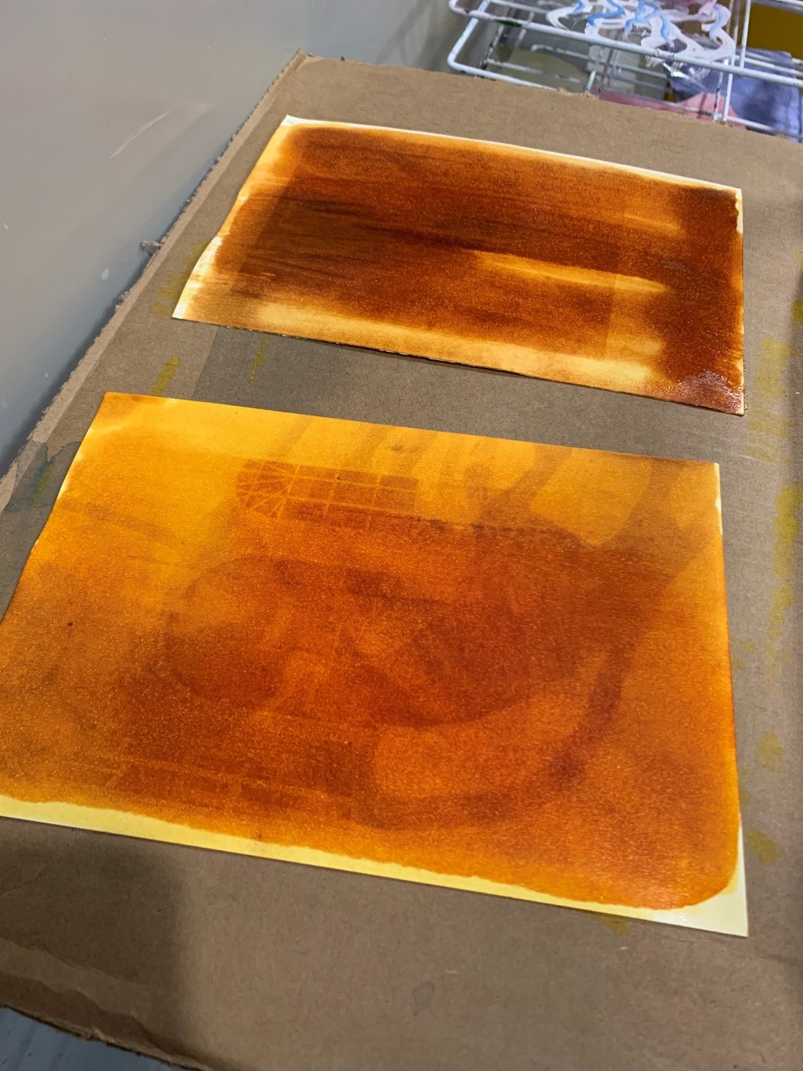 All About Anthotypes - Ignite Studio at HEPL