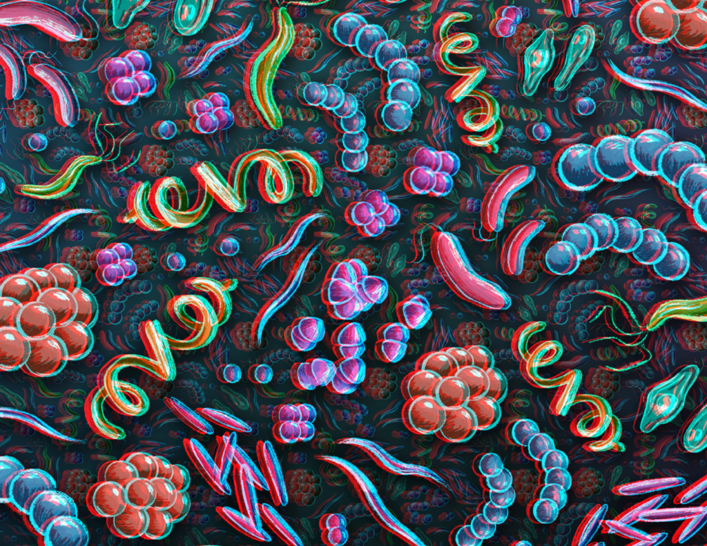 How to Make A 3D Image - Ignite Studio at HEPL